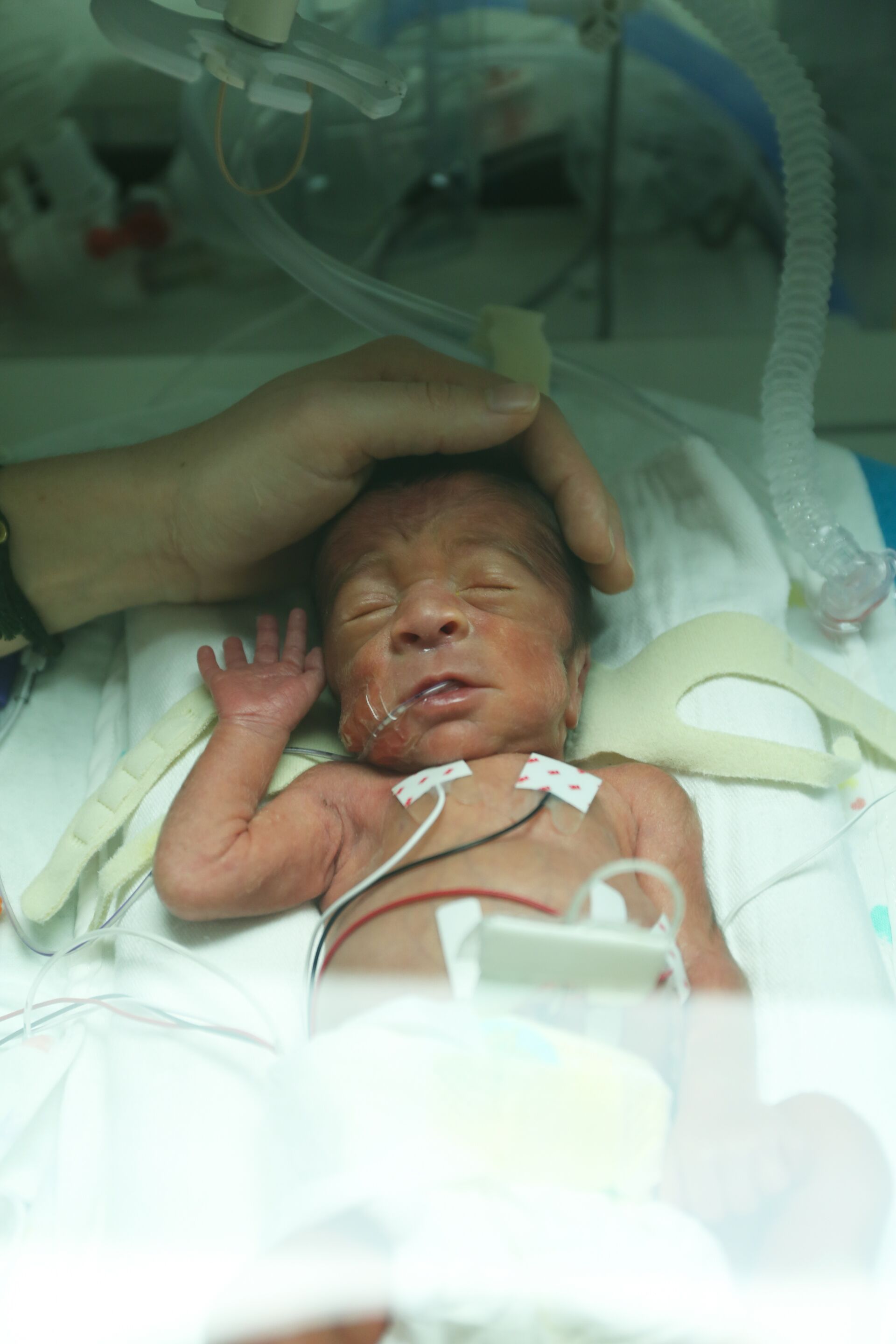 Blog #1 Babies learn STEM? – STEM Starts Now