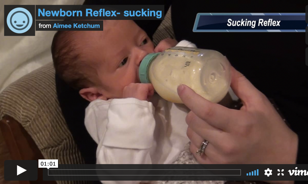 Newborn Reflexes- Descriptions and Videos – STEM Starts Now